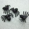 Black Spider Hoard For Halloween Decoration And Pranks (50 Pieces ...